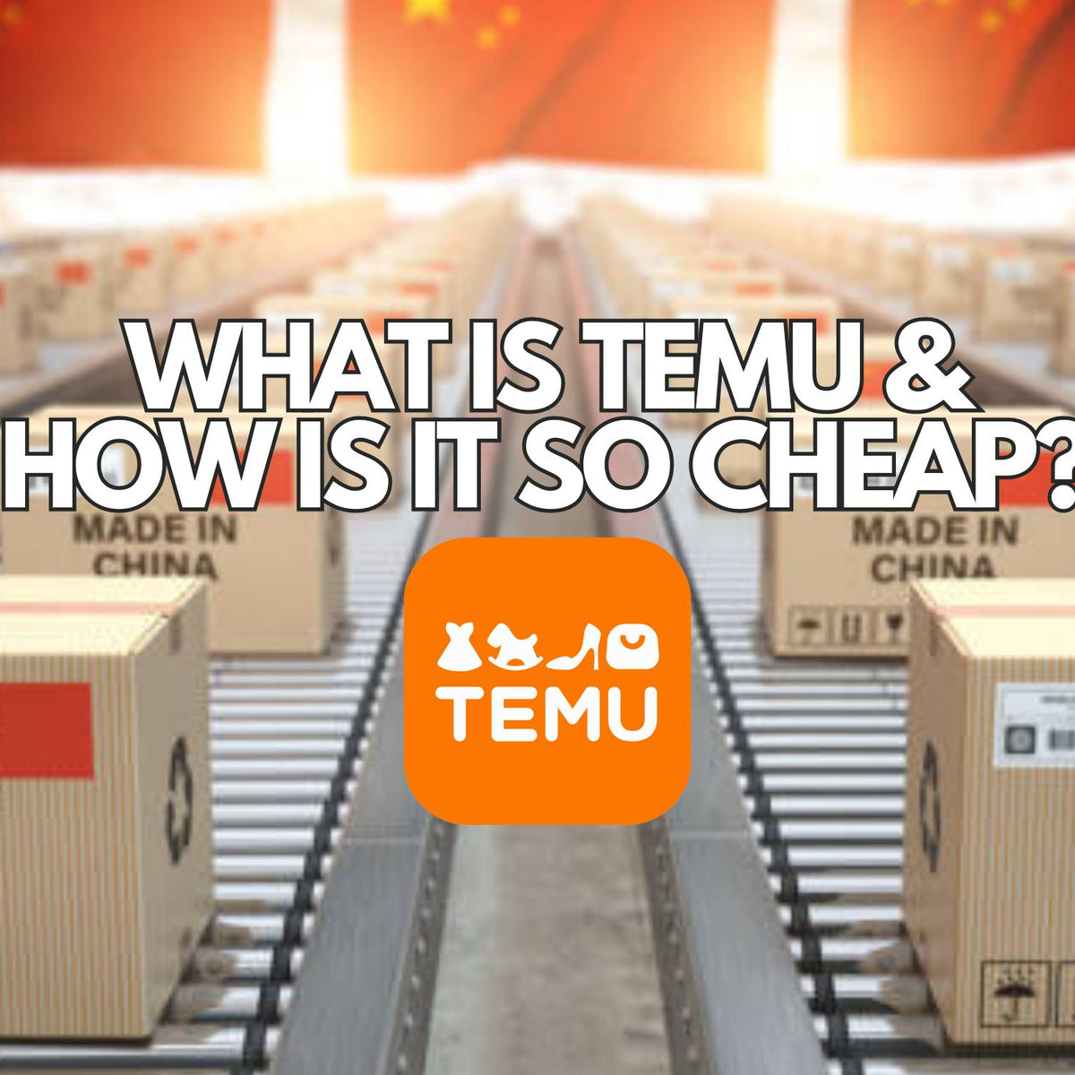 How is Temu so cheap? – Nom Nom Kids